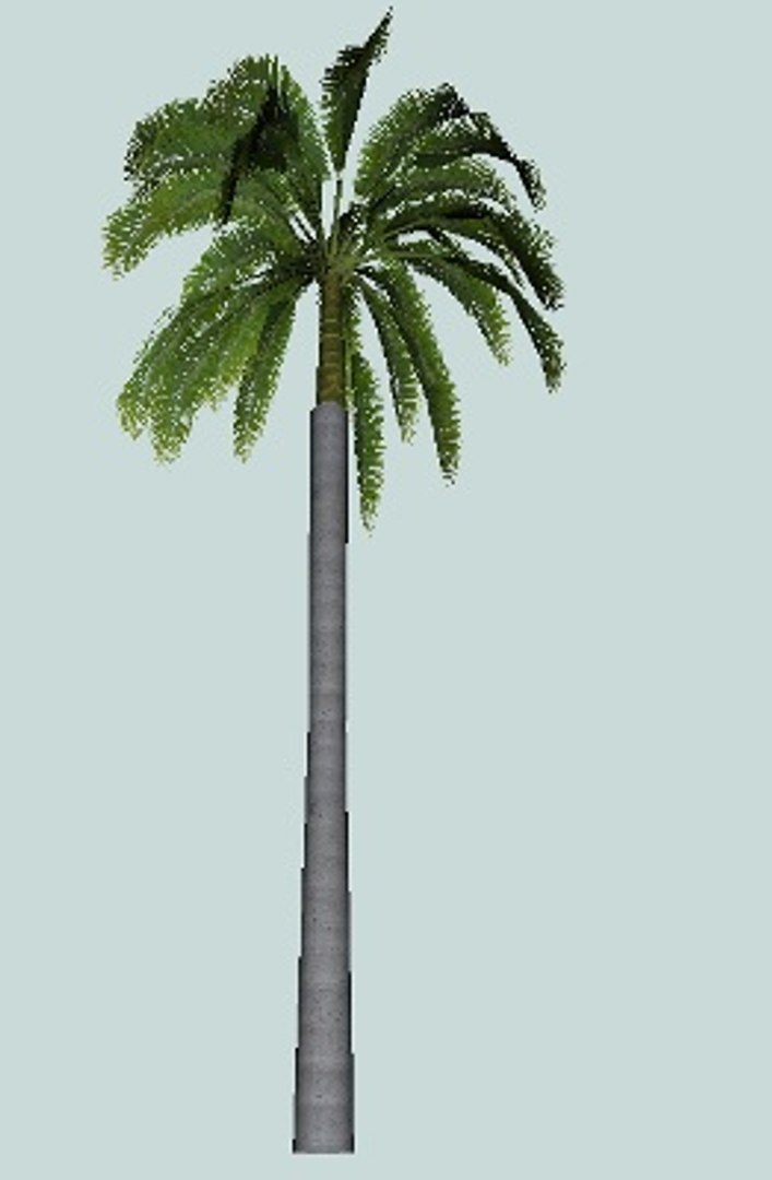 palm tree 3d obj