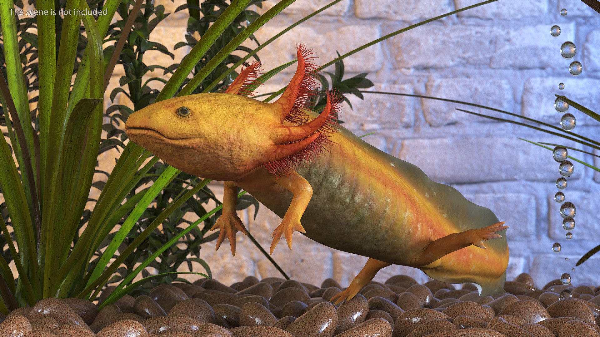 3D Model Gold Albino Axolotl Rigged For Cinema 4D - TurboSquid 2248080