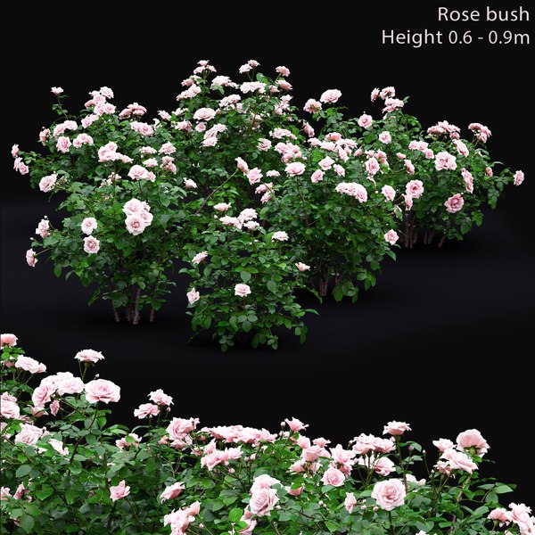 3D flowering bushes - TurboSquid 1522673