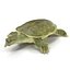 max rigged turtles 3 modeled