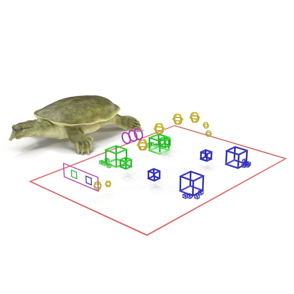 max rigged turtles 3 modeled