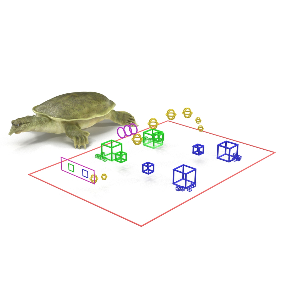 max rigged turtles 3 modeled