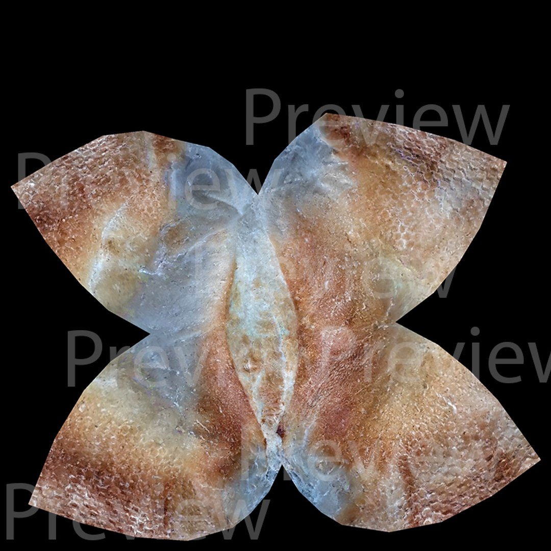 Bread Roll Model - TurboSquid 2002256