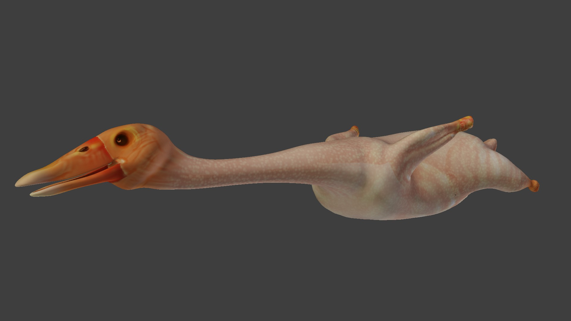 Duck Rigged Feathering 3D Model - TurboSquid 1339880