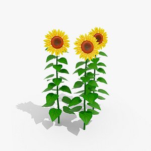 Sunflower Free Model | Best Flower Site
