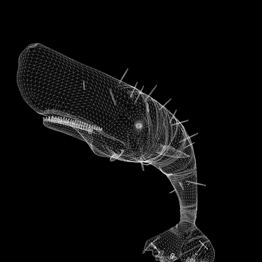 ORANGE WHALE Sperm Whale Moby Dick 3D - TurboSquid 2216841