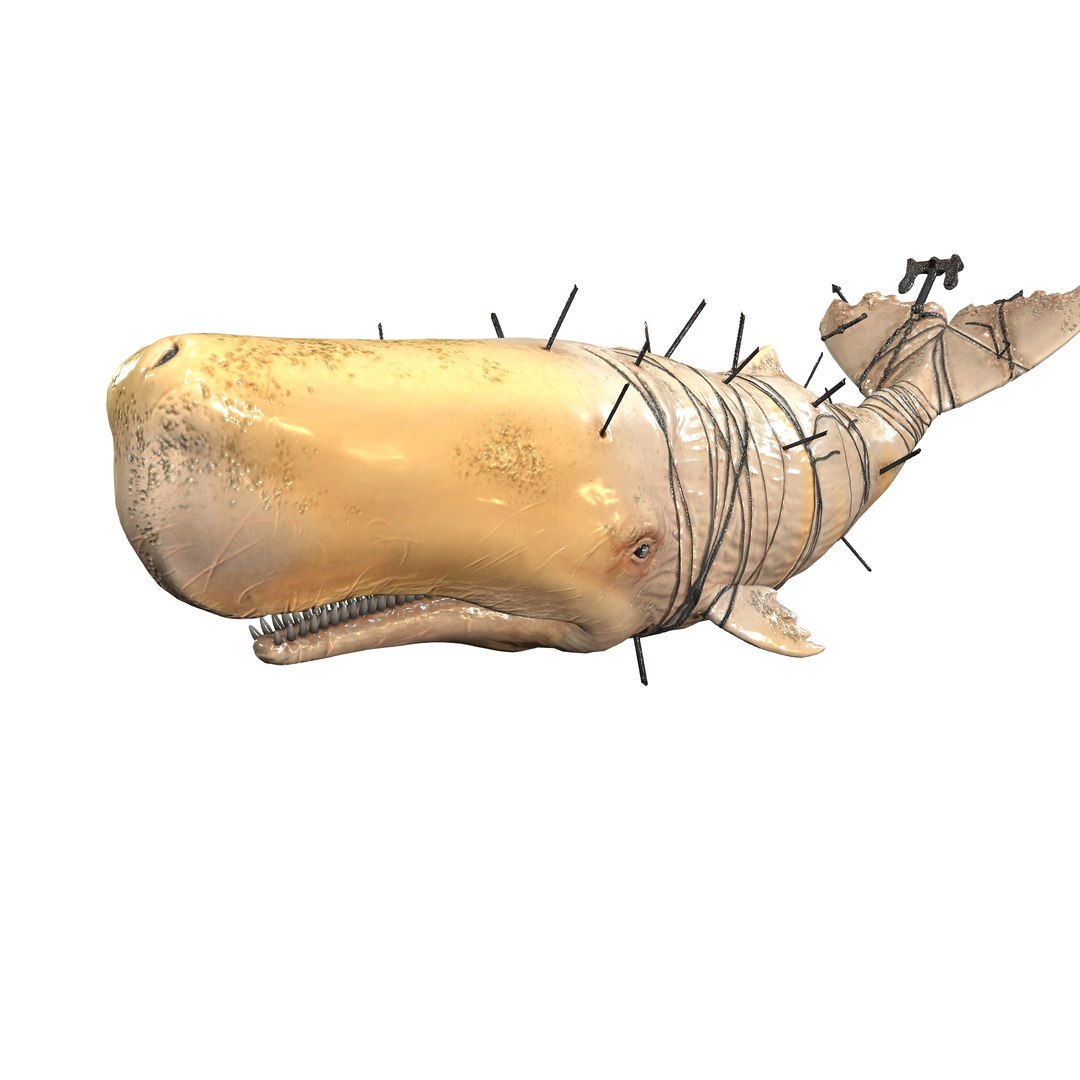 ORANGE WHALE Sperm Whale Moby Dick 3D - TurboSquid 2216841