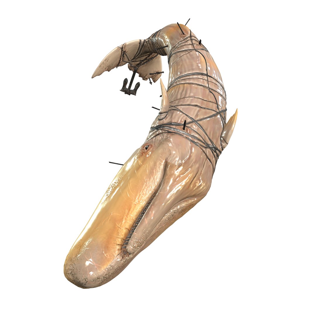 ORANGE WHALE Sperm Whale Moby Dick 3D - TurboSquid 2216841