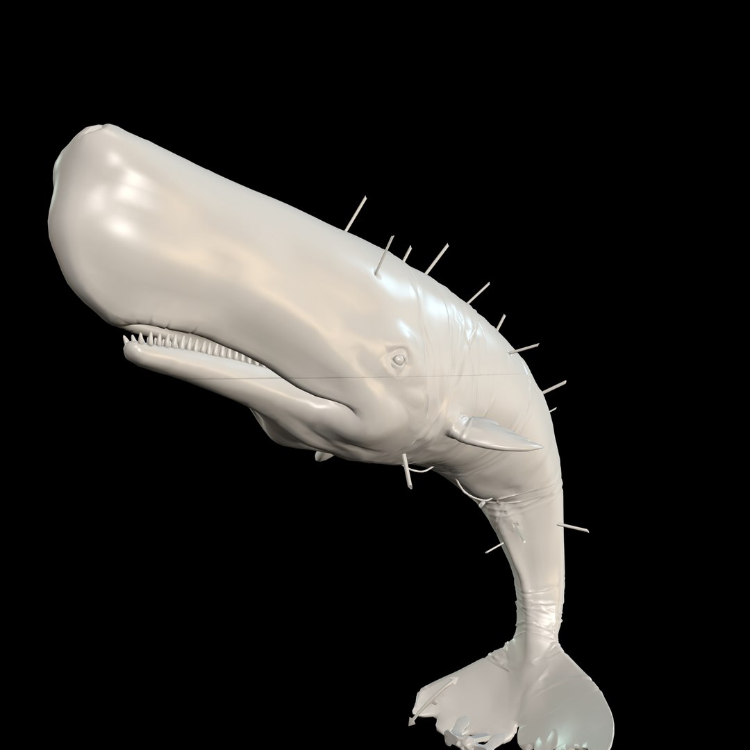 ORANGE WHALE Sperm Whale Moby Dick 3D - TurboSquid 2216841