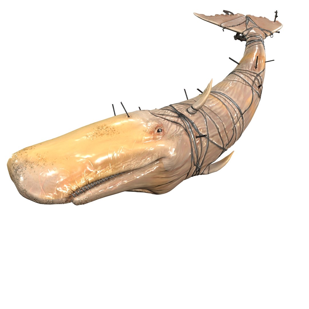 ORANGE WHALE Sperm Whale Moby Dick 3D - TurboSquid 2216841
