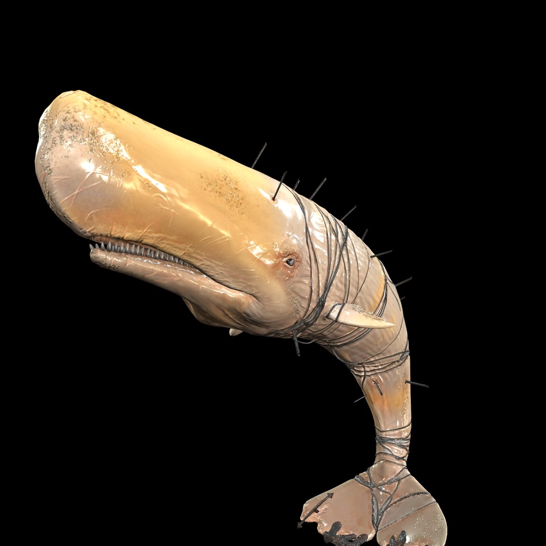 ORANGE WHALE Sperm Whale Moby Dick 3D - TurboSquid 2216841