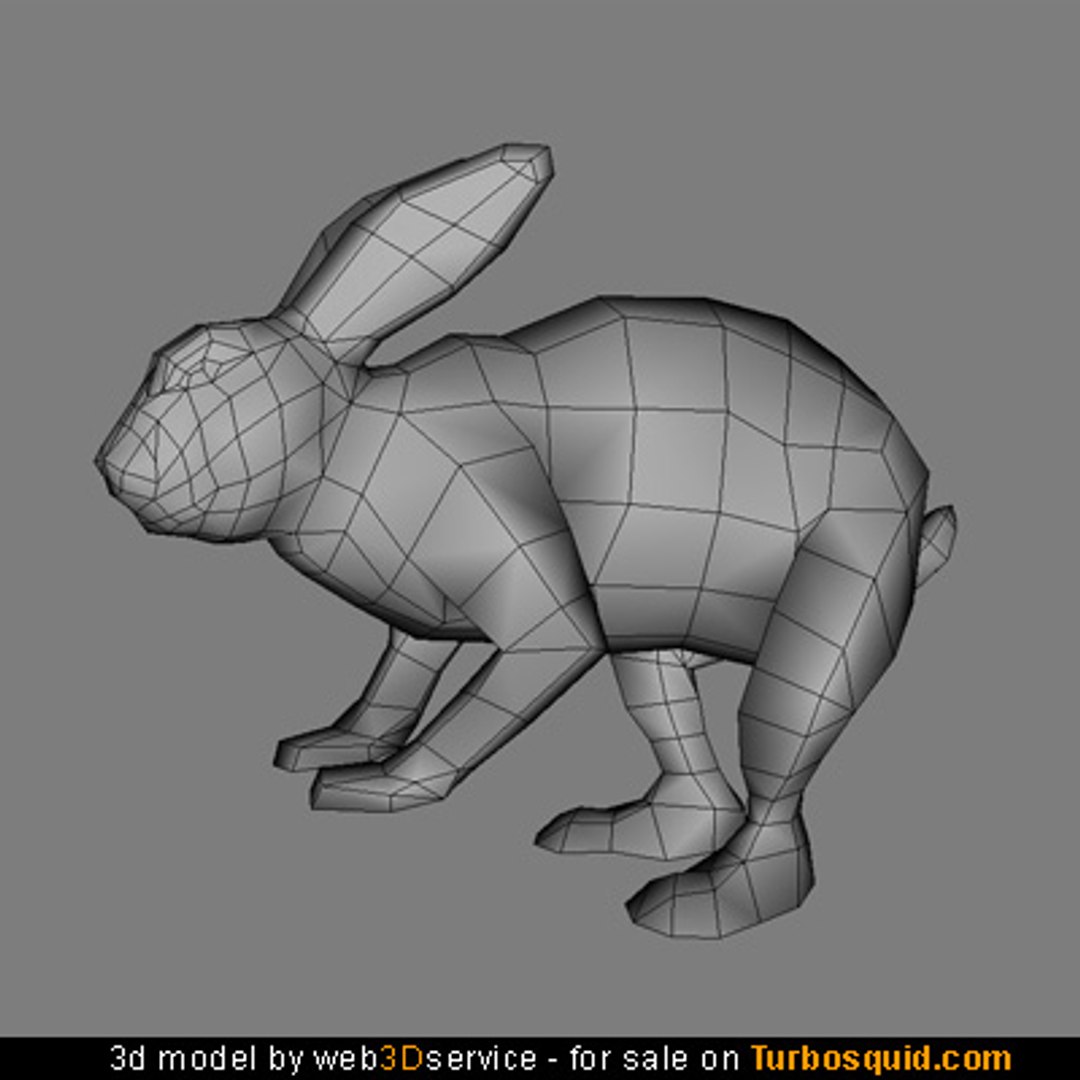 3ds real time rabbit