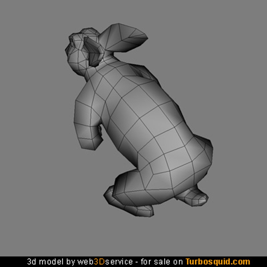 3ds real time rabbit