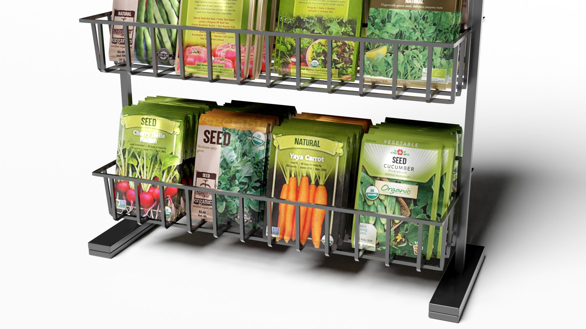 Seed Display 3D Model - TurboSquid 1922458