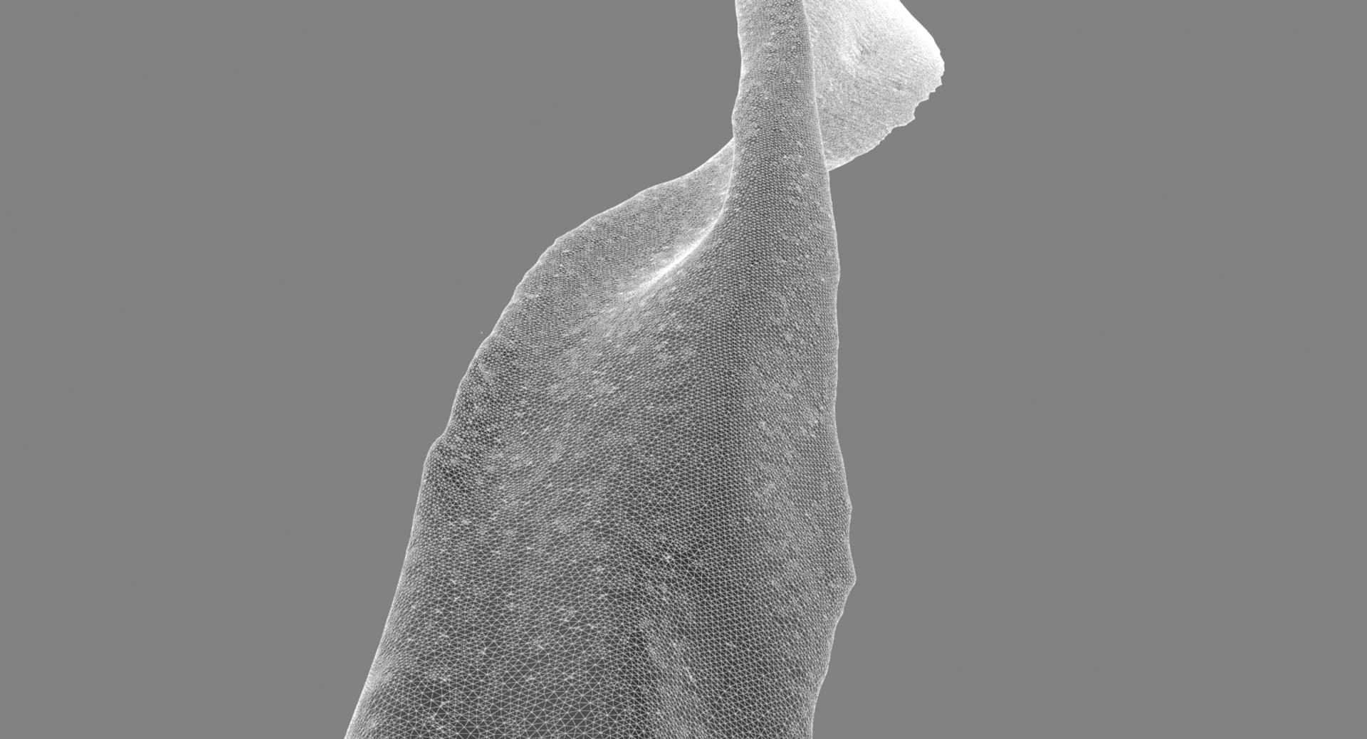 3D Liquid Flow Realflow Water - TurboSquid 1355483