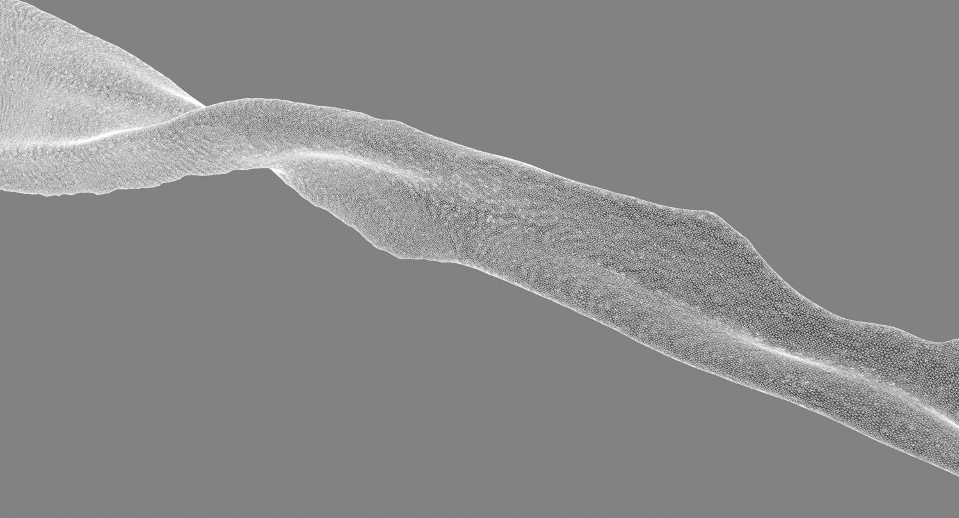 3D Liquid Flow Realflow Water - TurboSquid 1355483