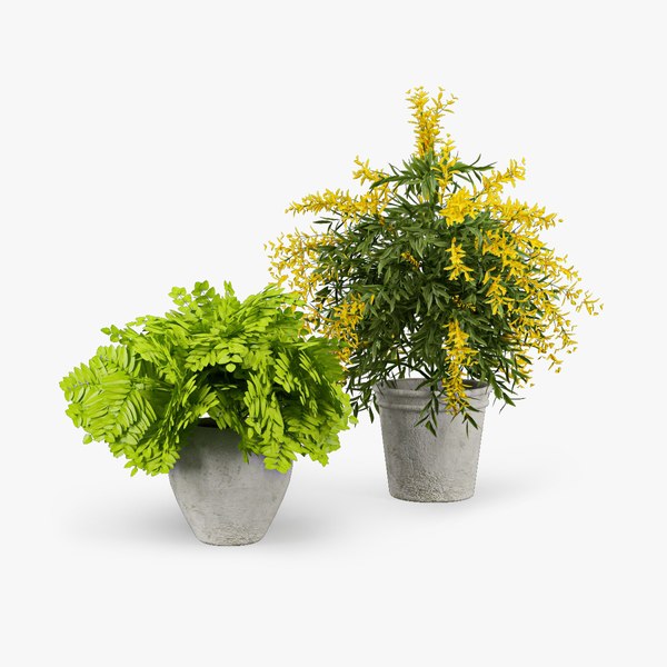 3d flower pot