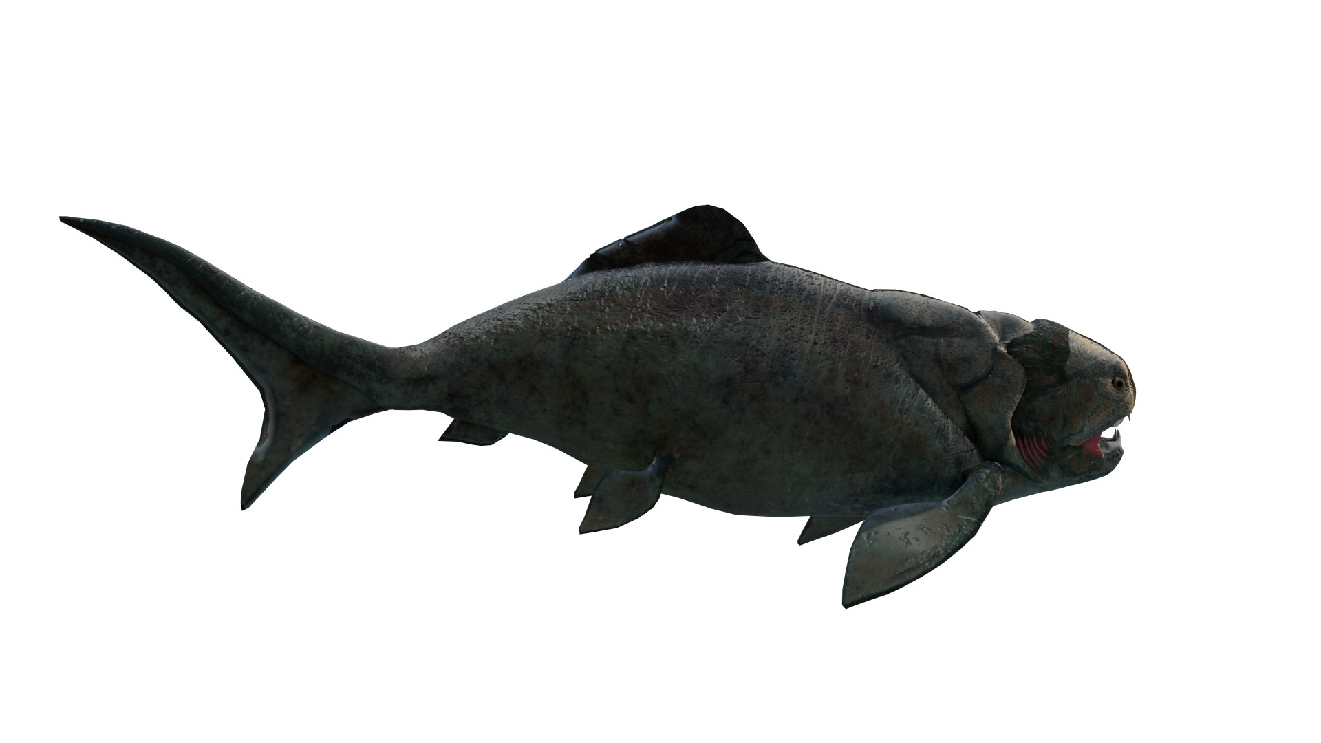 Placoderm Fish 3D Model 3D - TurboSquid 2311793