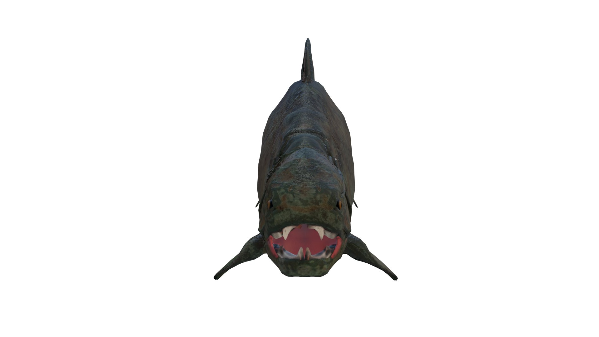Placoderm Fish 3D Model 3D - TurboSquid 2311793