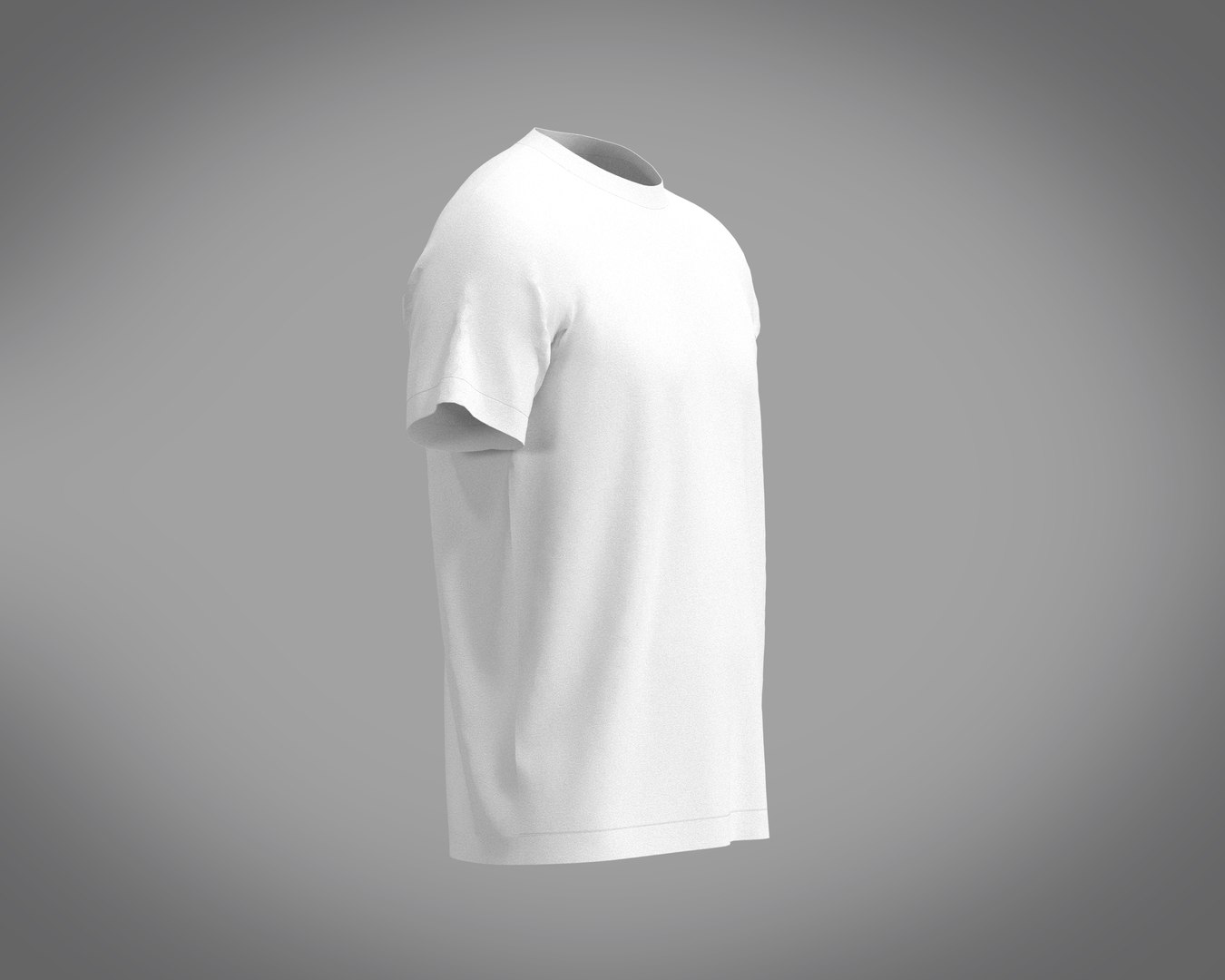 Regular Basic T-Shirt In Low Poly Model - TurboSquid 2023710