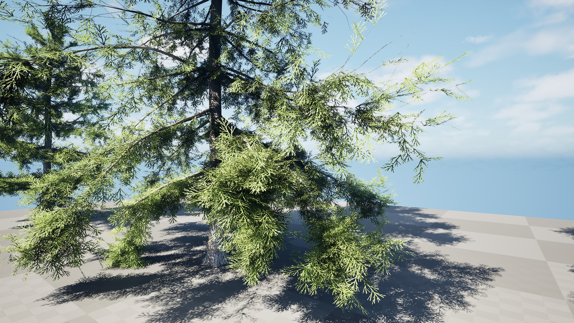 3D 3 Cyprus Cedar Trees - TurboSquid 1888434