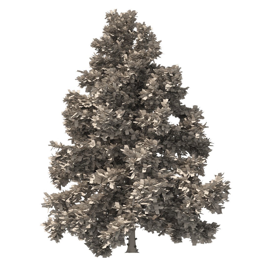 3D 3 Cyprus Cedar Trees - TurboSquid 1888434
