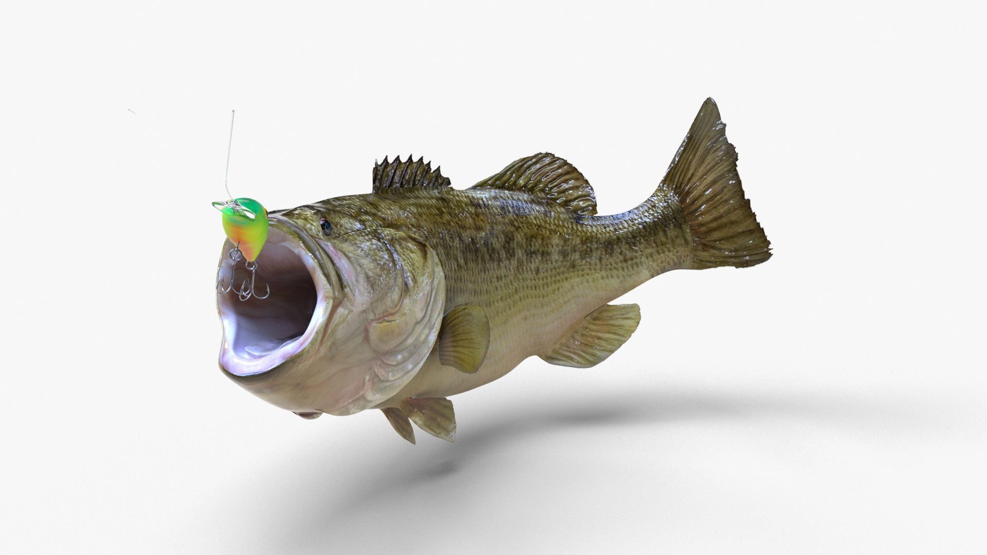 Largemouth Bass 3D Model - TurboSquid 1510711