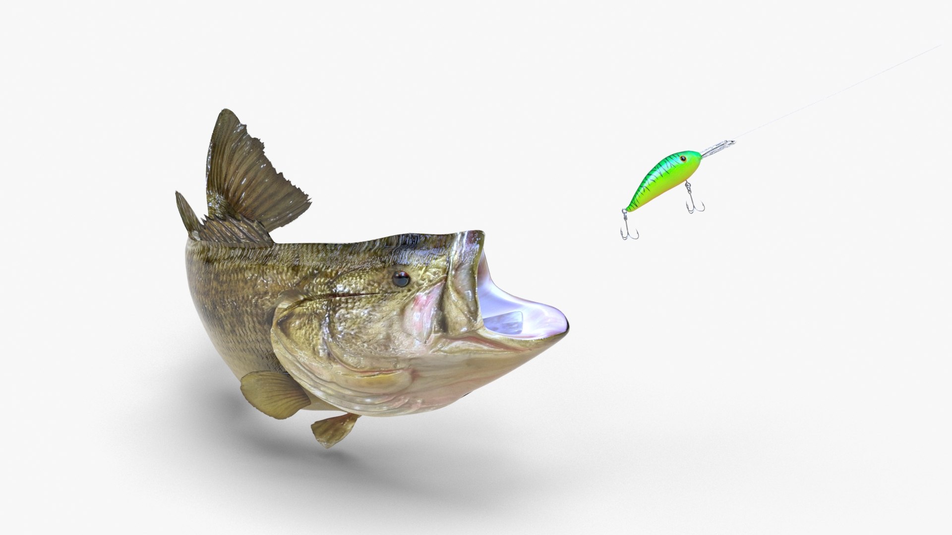 Largemouth Bass 3D Model - TurboSquid 1510711