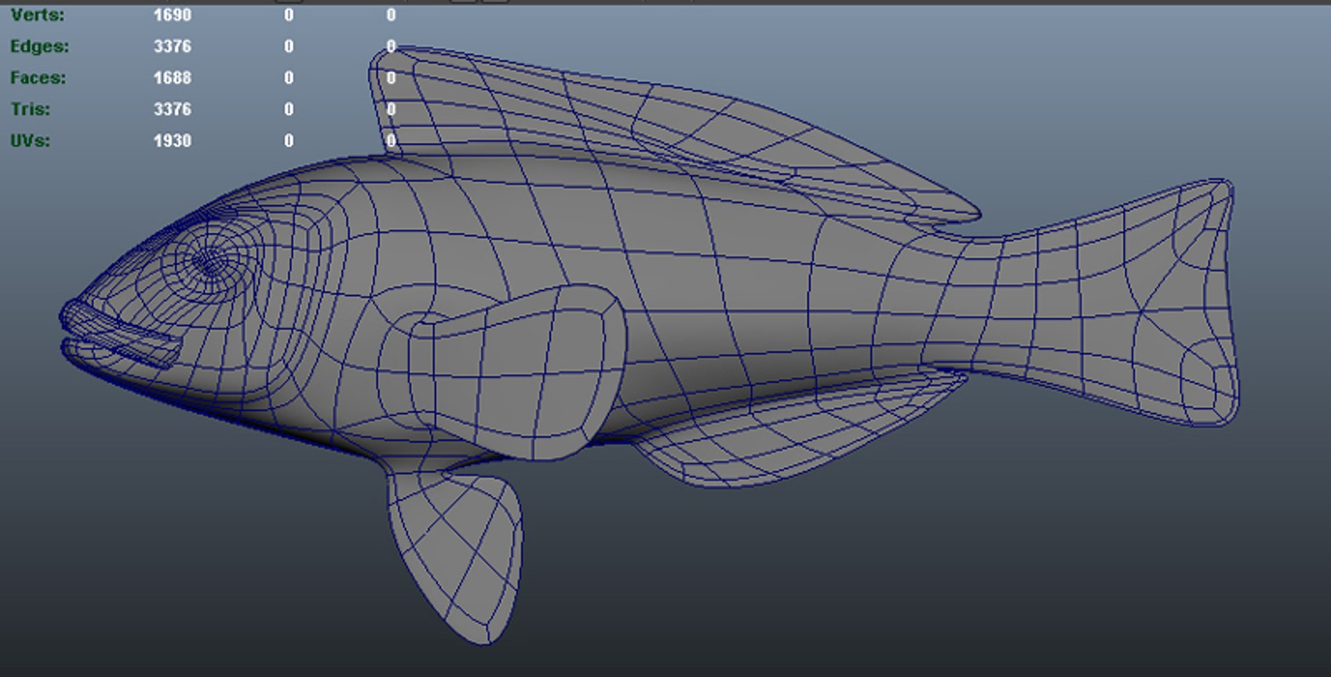 3d Model Bleeding Wrasse