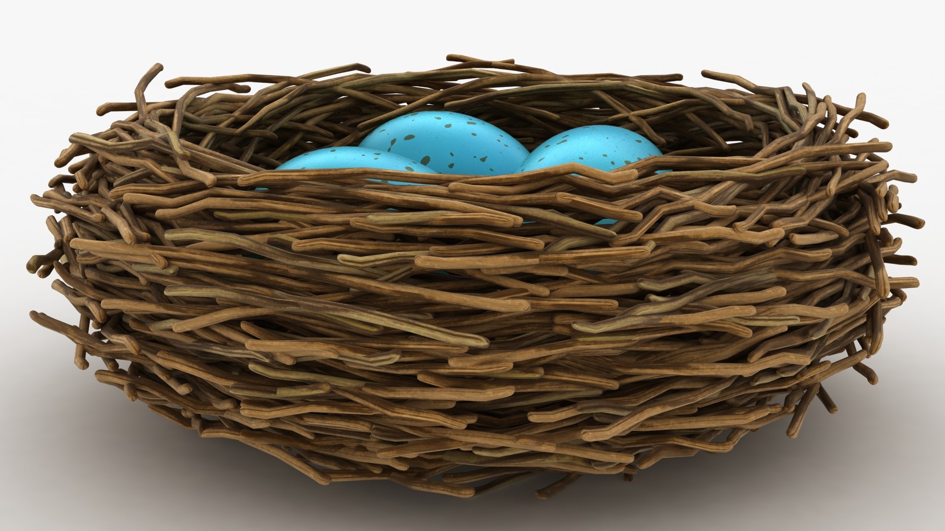Realistic bird nest 3D model - TurboSquid 1562373
