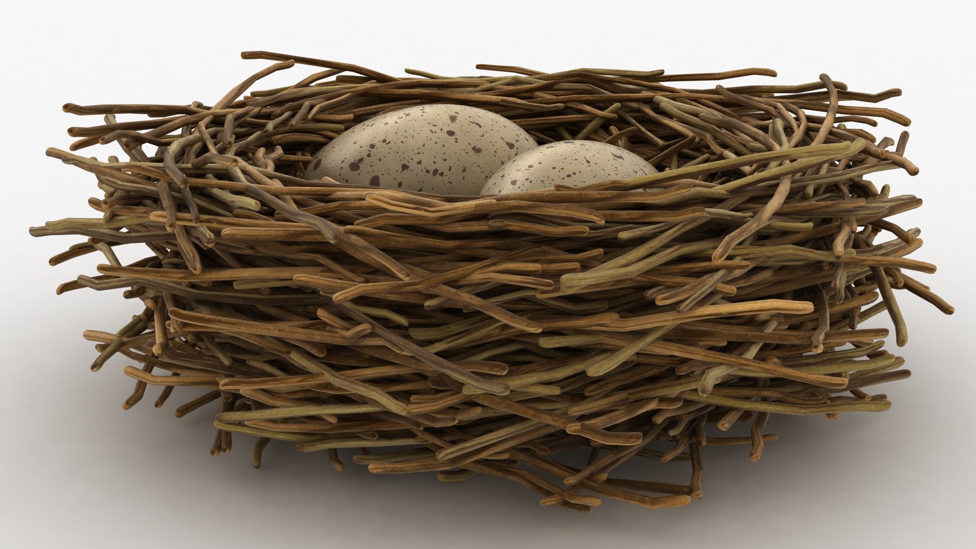 Realistic bird nest 3D model - TurboSquid 1562373