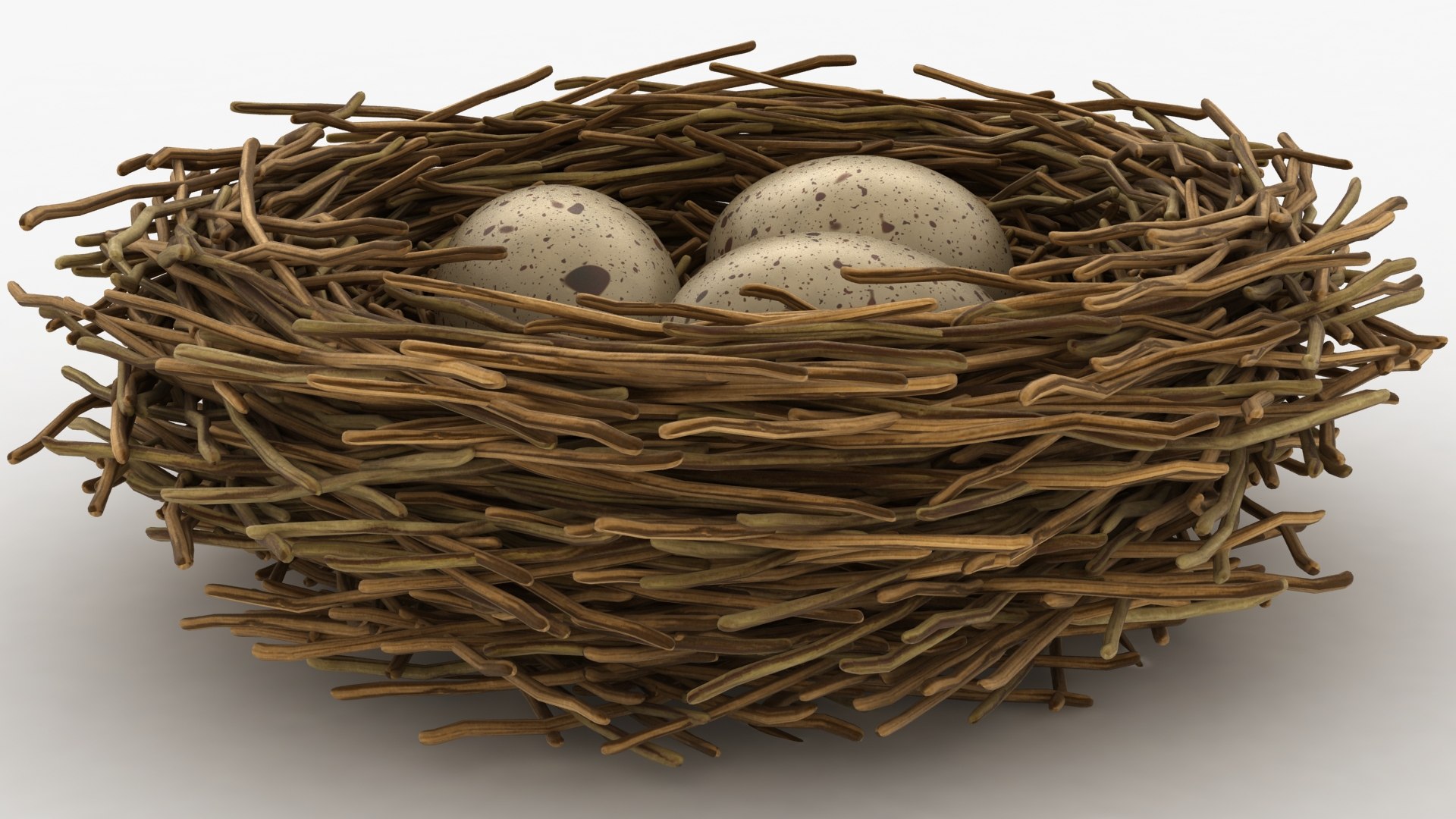 Realistic bird nest 3D model - TurboSquid 1562373