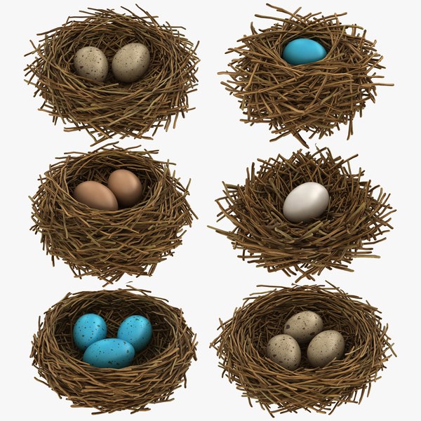 Bird Nest 3D Models for Download | TurboSquid