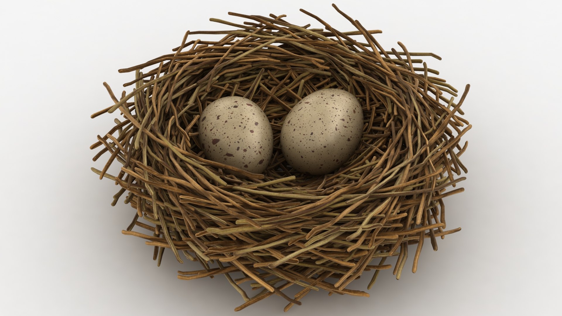 Realistic bird nest 3D model - TurboSquid 1562373