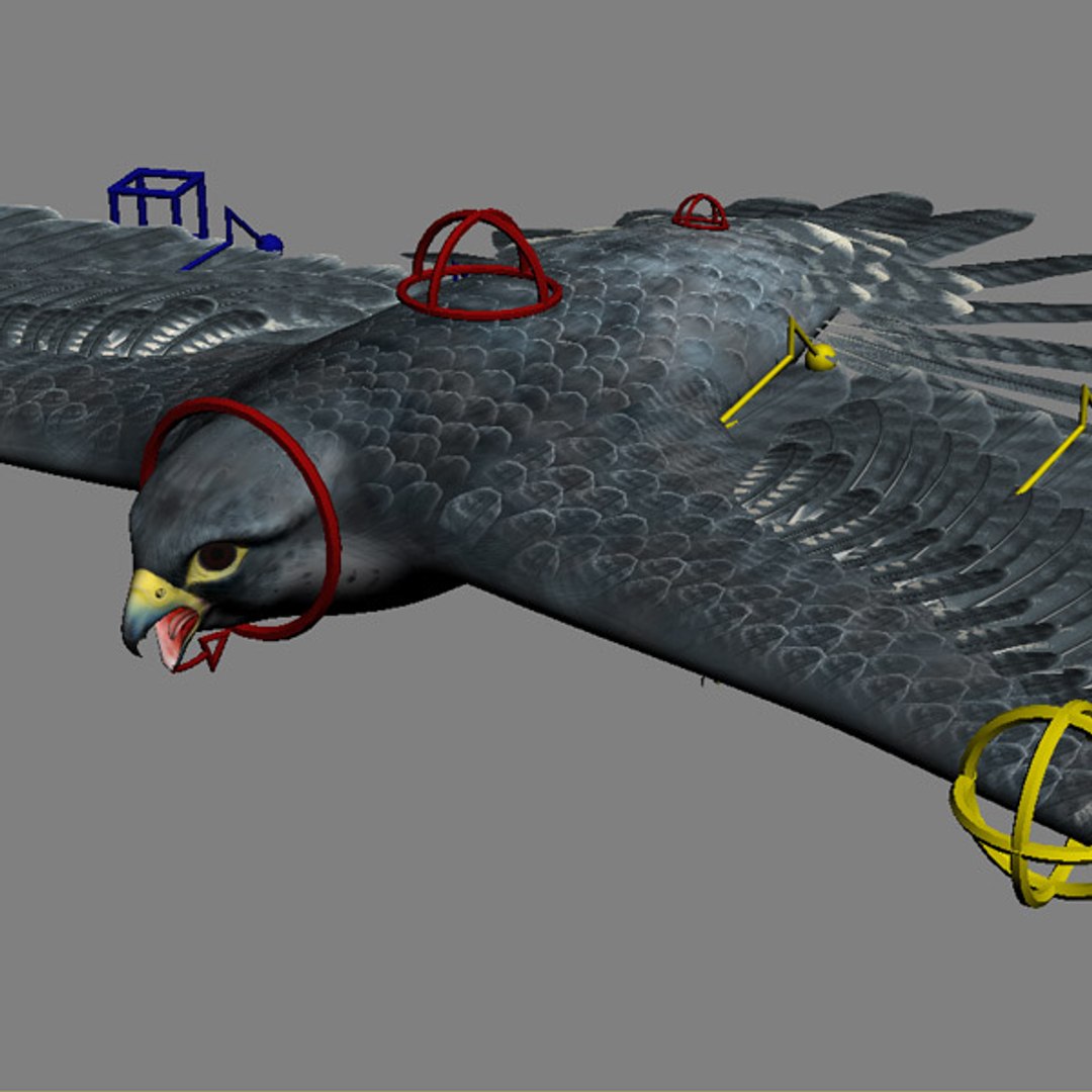 Peregrine Falcon Max