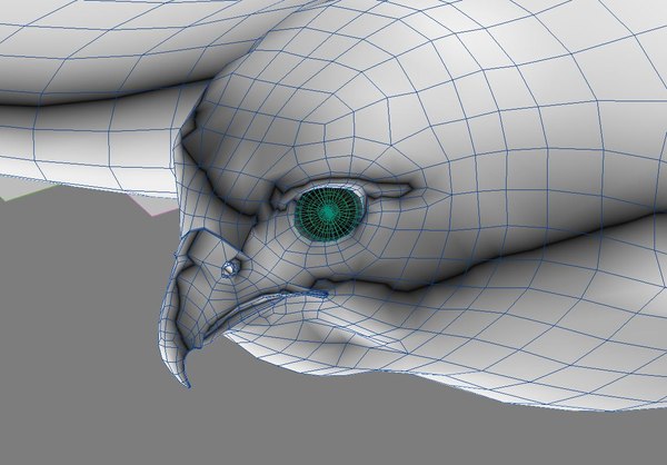 peregrine falcon max