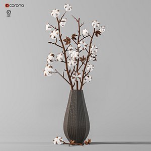 Plants Cotton 3D Models for Download | TurboSquid