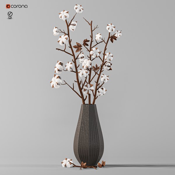 Cotton Plant 3D Models for Download | TurboSquid