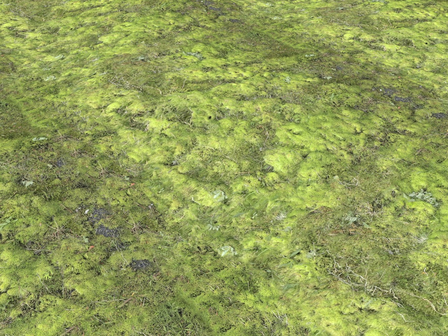 Ground Terrain Iceland Model - TurboSquid 1711164