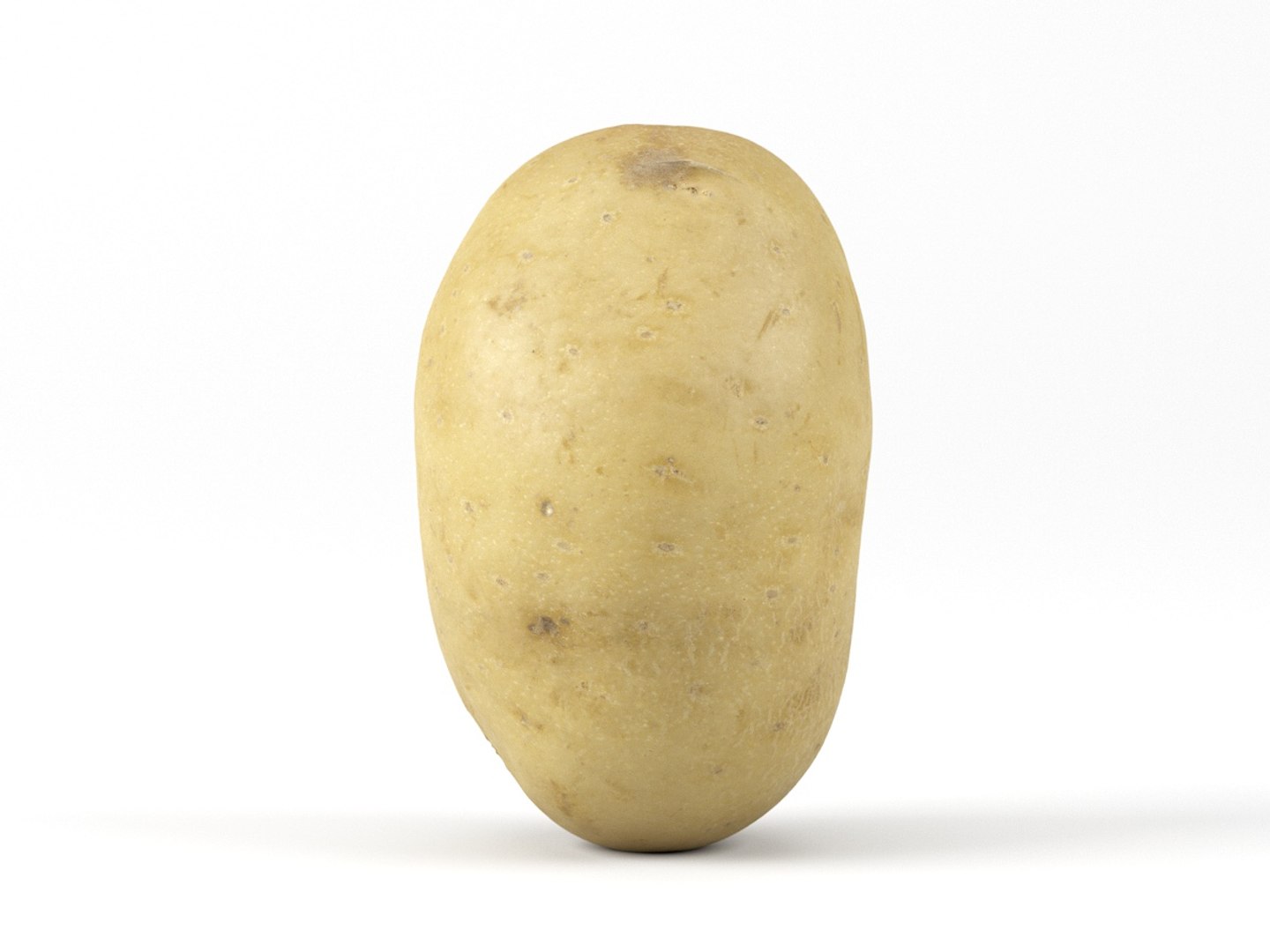 Photorealistic Scanned Potato 3D Model - TurboSquid 1285793
