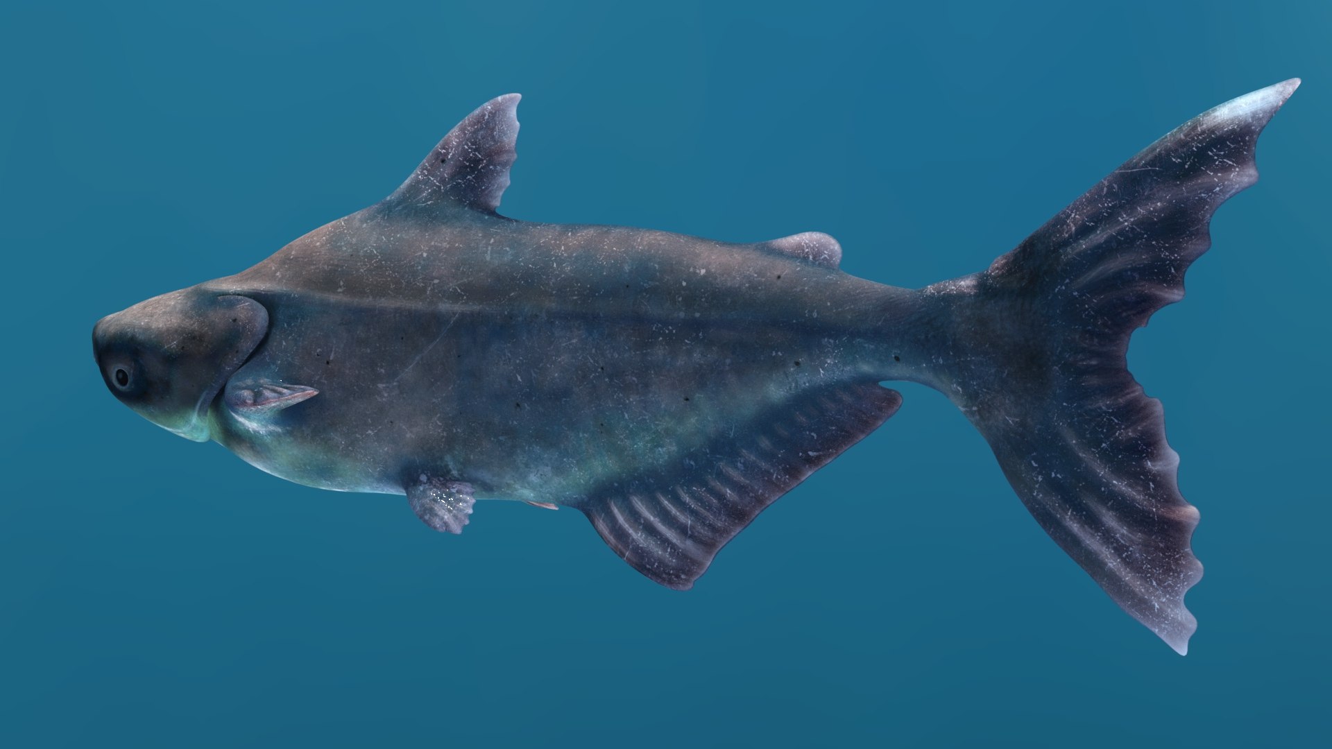 3D Mekong Giant Catfish - TurboSquid 2089721