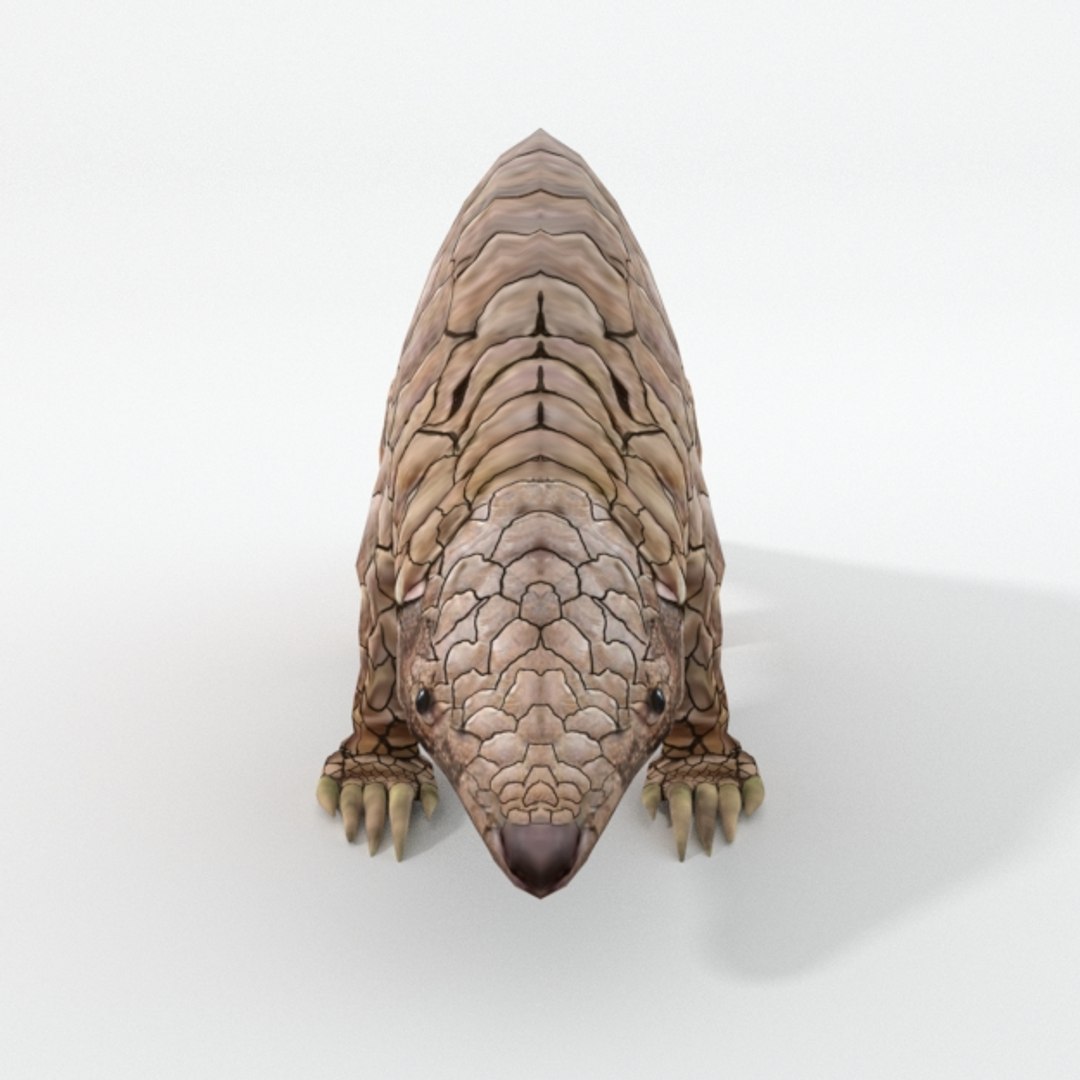 3D Pangolin - TurboSquid 1394962