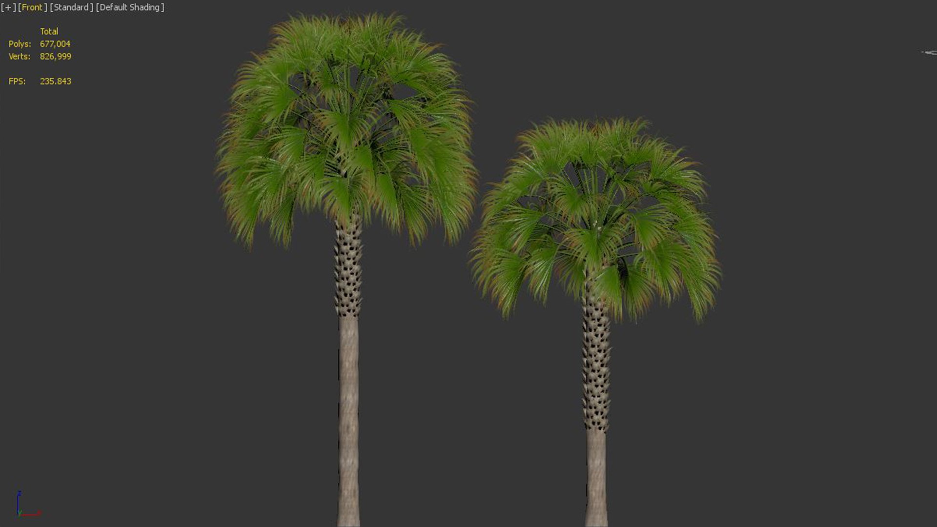Sabal Palmetto Cabbage Palm 3D Model - TurboSquid 1954665