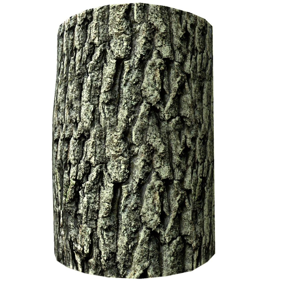 3d Log Photorealistic