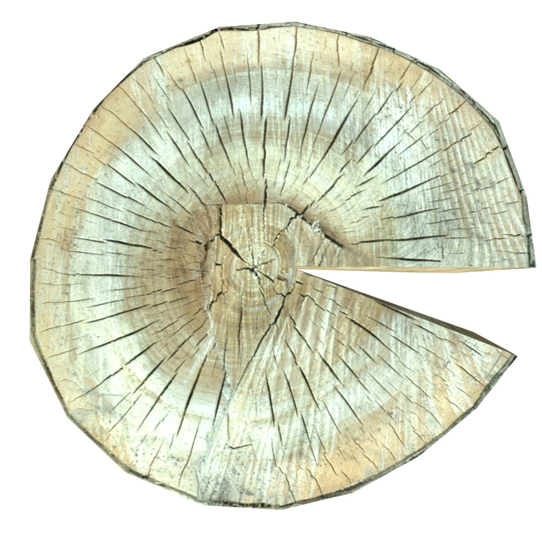 3d Log Photorealistic