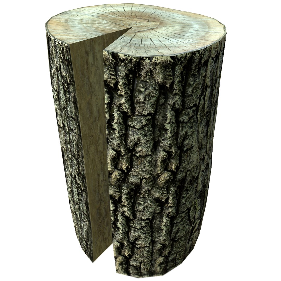 3d Log Photorealistic