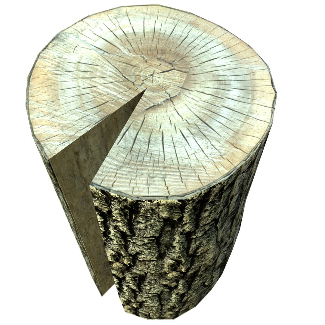 3d Log Photorealistic