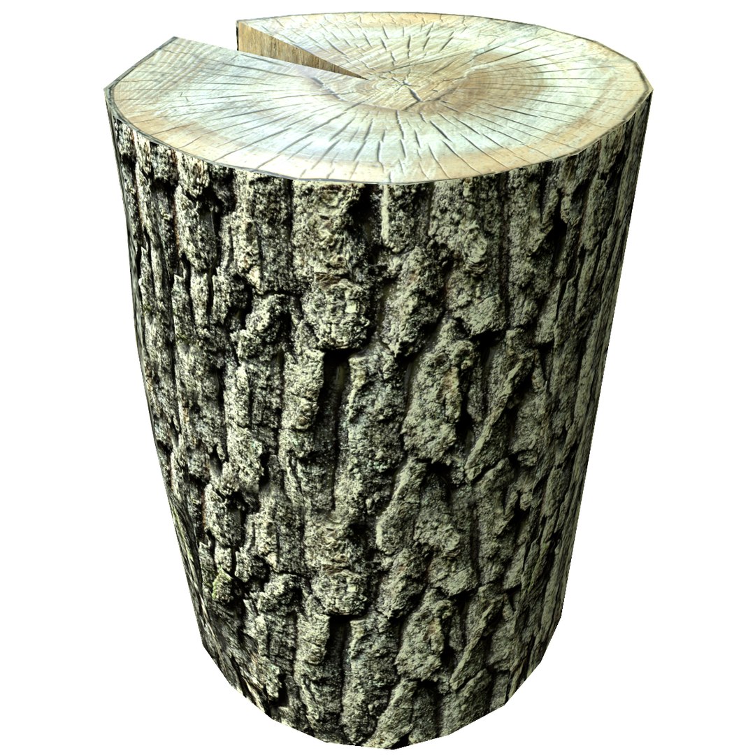 3d Log Photorealistic
