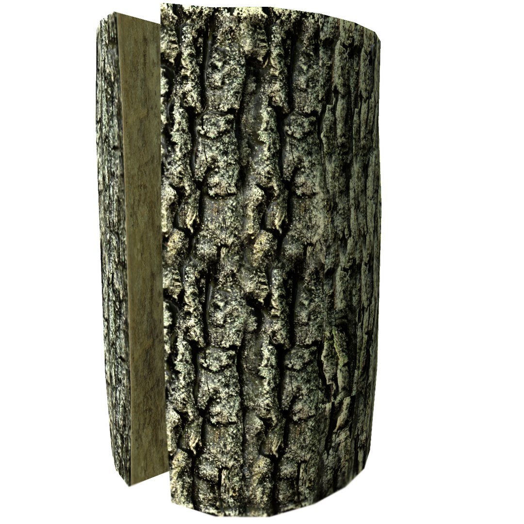 3d Log Photorealistic