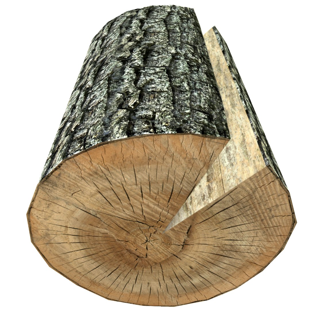 3d Log Photorealistic